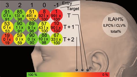 Color Coded Heat Map Showing The Percentage Of Successful Hits Of The Download Scientific