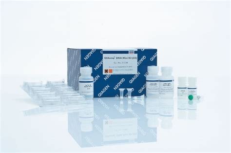 Qiaamp Dna Mini Kit Qiaamp® Genomic Dna Kits