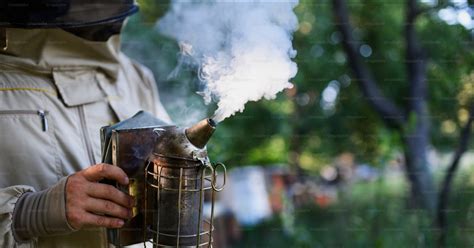 꿀벌 흡연자를 사용하여 양봉장에서 일하는 알아볼 수 없는 젊은 양봉가 사진 Unsplash의 사람 이미지