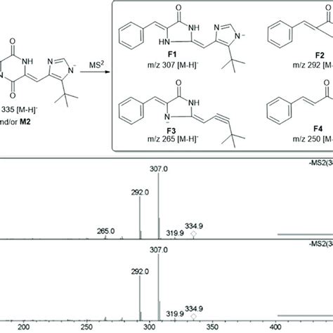 A Proposed Chemical Structure Of M1 M2 And Their Ms Ms Fragments B