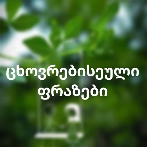 ფუტკრის რძე შემადგენლობა ფუტკრის რძე შემადგენლობა