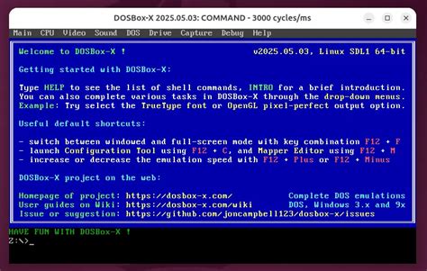 How To Play Classic Dos Games On Linux Using Dosbox X