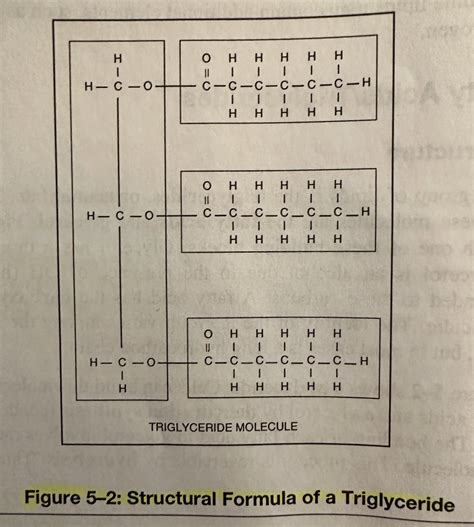 The Essential Of Biochemistry By Rea —