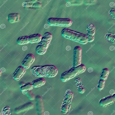 Bacteria Bacteroides 3d Illustration Stock Illustration Illustration