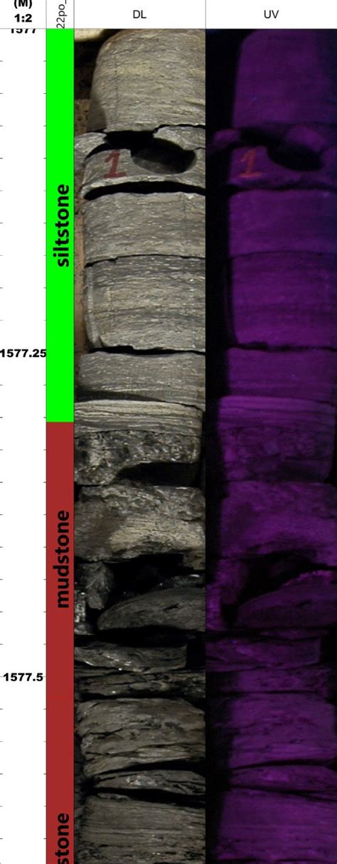 Kern Project Work V1 Computer Vision Dataset By Mywork