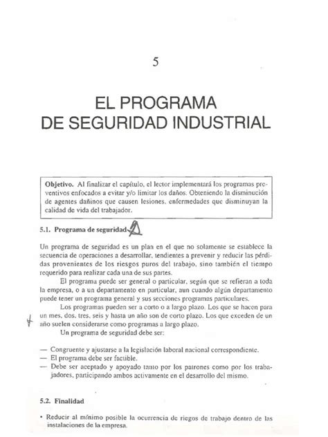 El Programa De Seguridad E Higiene Pdf Ciencias De La Salud