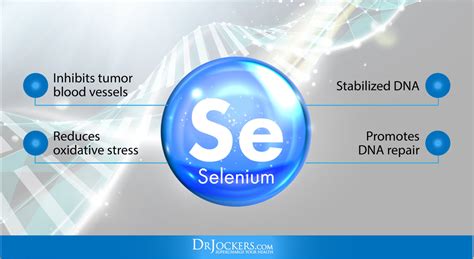 Selenium L Selenomethionine Dr Jockers Store