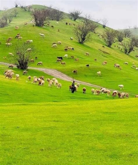 افغانستان از لنز دروبین 2024