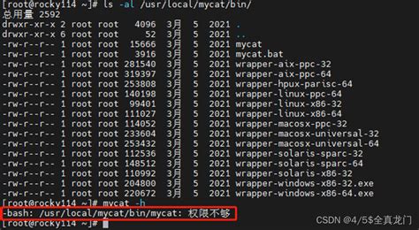 Mysql 读写分离代理（mycat2）mycat2 代理单库 Csdn博客