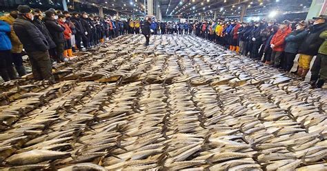 낚시꾼들도 놀라성격이 너무 급해서 잡히자마자 죽어버리는 의외의 생선