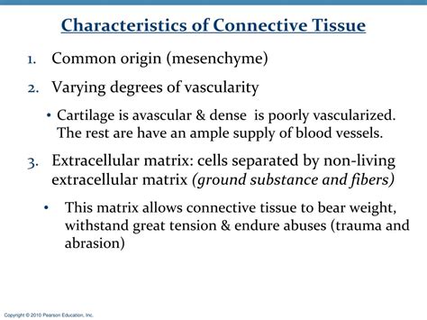 PPT Connective Tissue PowerPoint Presentation Free Download ID 5481296