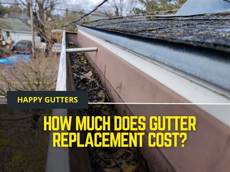 How Much Does Gutter Replacement Cost