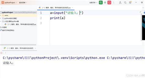 用人话讲计算机：小白版python篇！（七）输入input与输出print详解！！！利用input函数通过键盘输入任意一个整数输出其