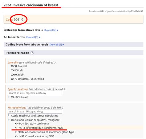Postcoordination User Guide