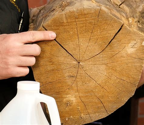 Tree Saver Green Wood Sealer Craft Supplies USA