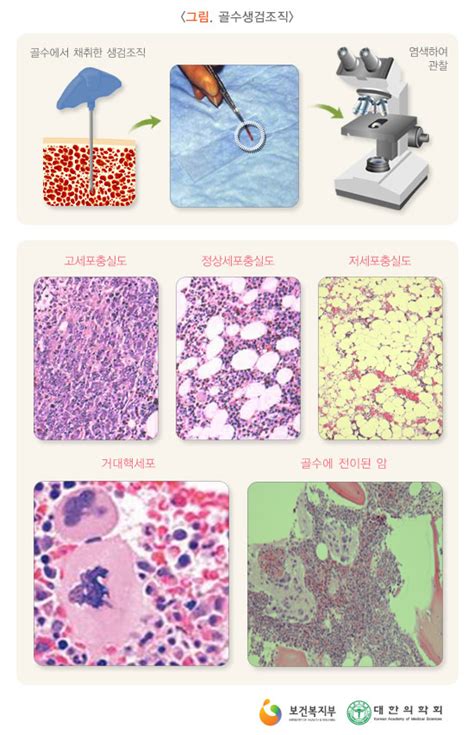 제이앤에이치바이오 건강정보검사관련정보