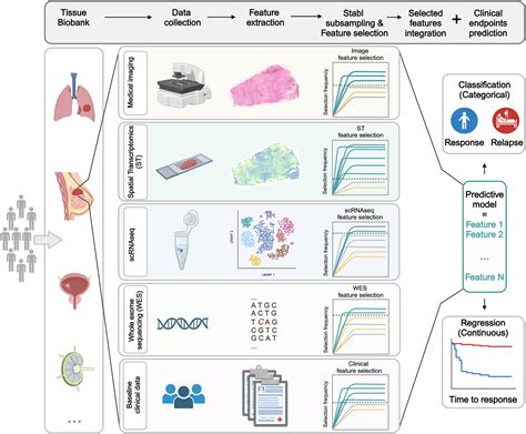 An Approach For Integrating Multimodal Omics Data Into Sparse And Interpretable Models Cell