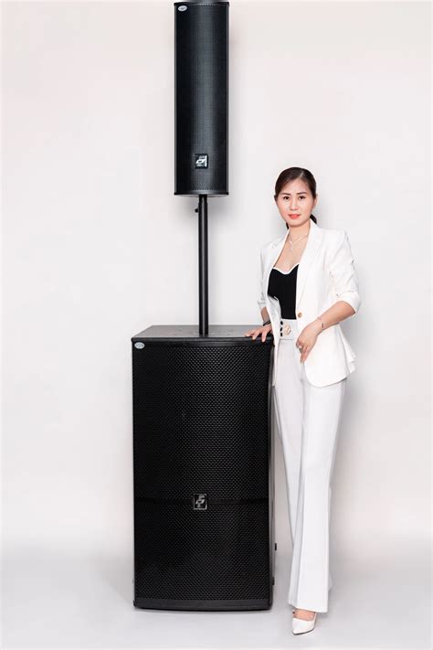 Best Column Speakers Price Column Loudspeakers Pa 700w For Full Sound Coverage In A Large Space