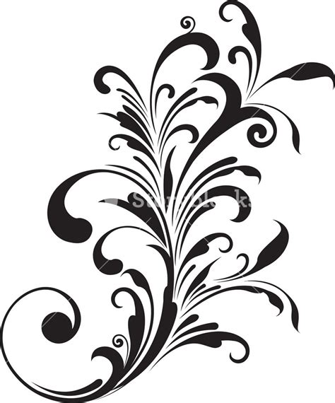 Floral Curl Vector Element Royalty Free Stock Image Storyblocks