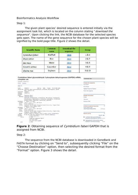 the bioinformatics analysis workflow