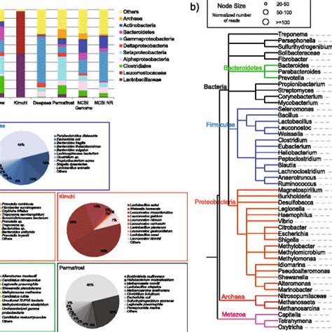 pdf metatranscriptomic analysis of diverse microbial communities