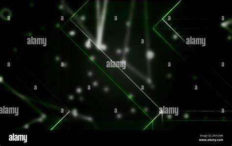 Plexus Silhouettes Of Connected Network Lines And Dots Motion Concept Of Technology