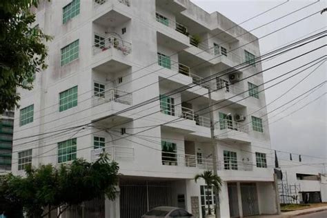 Ataque De Abejas Dejó Dos Personas En El Hospital Y Un Perro Muerto En Cartagena Infobae