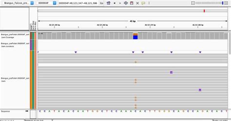 The Iso Seq Method For Human Diseases And Genome Annotation Elizabeth