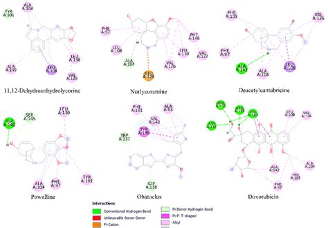 principal interactions located by the molecular docking experiments