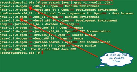 CentOS Install Java SDK Using Yum Command NixCraft
