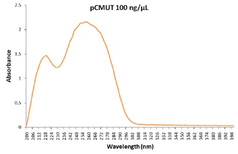The Absorption Spectrum For The Dna Molecule A Sample Of Purified