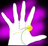 Palm Reading Predicts Your Sexuality