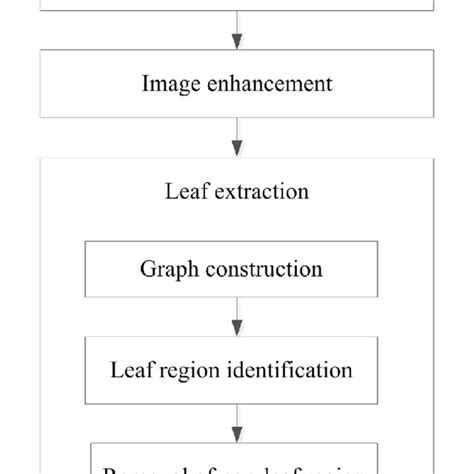 Process Of Extracting The Leaf Region And Counting The Leaves Download Scientific Diagram
