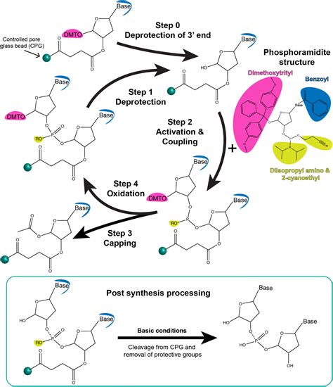 Pursuing Excitonic Energy Transfer With Programmable Dna Based Optical