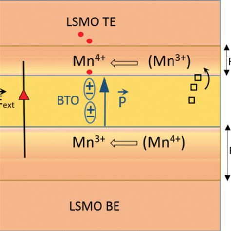 memristor for synapse emulation a schematic of synapse and memristor