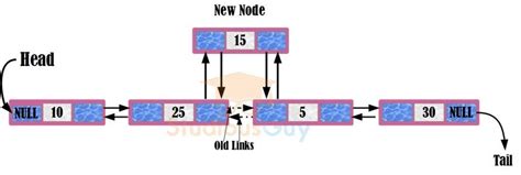 Doubly Linked List In Data Structure StudiousGuy