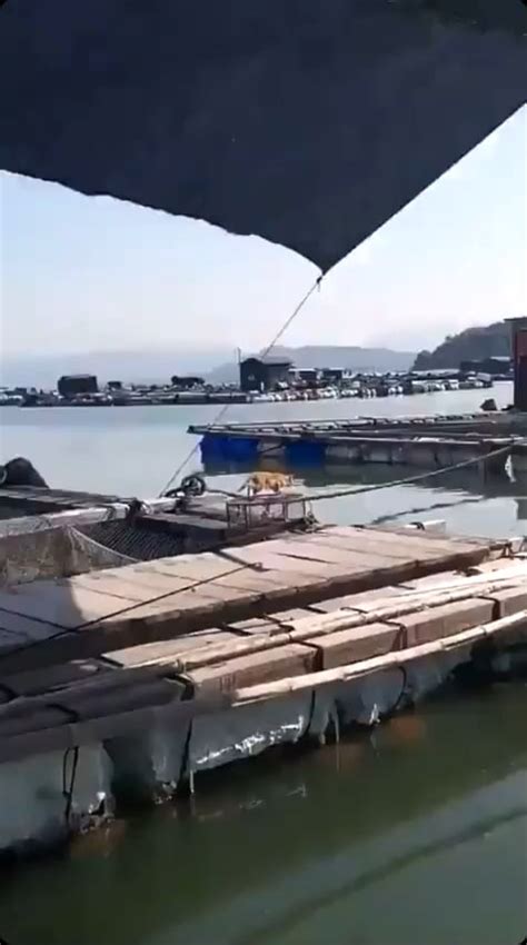 C Traversing A String With A Terminating Character R C At