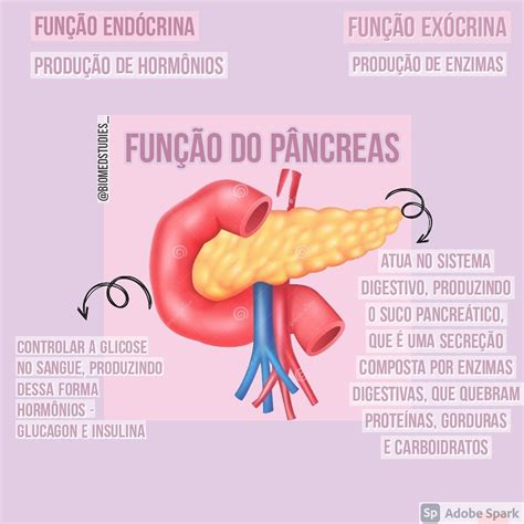 As Fases Do Projeto Descubra Quais São E Como Se Desenrolam Adaptacao