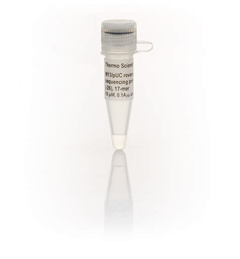 Thermo Scientific M13puc Reverse Sequencing Primer 26 17 Mer 10 Um