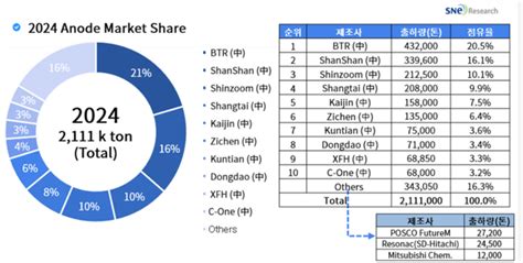 음극재 시장 Top 10 中독차지포스코퓨처엠 10위권 밖으로 밀려나
