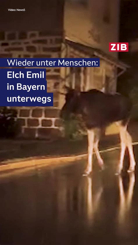 Physik Nobelpreis Erklärt Der österreichische Quantenphysiker Anton Zeilinger Wird Mit