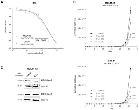 Discovery Of A Non Nucleoside Setd2 Methyltransferase Inhibitor Against Acute Myeloid Leukemia