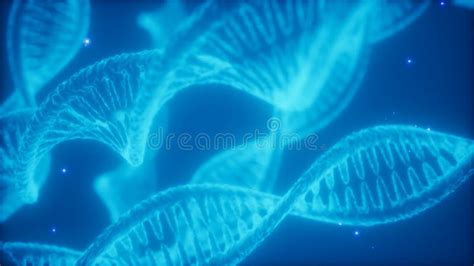 Structure Of The Dna Double Helix Animation Stock Illustration