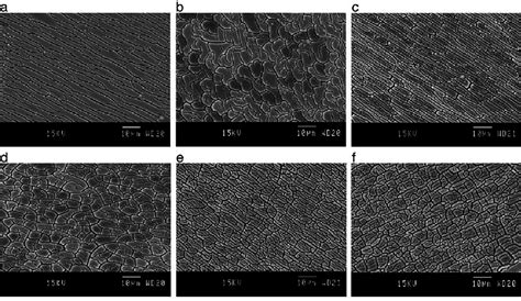 Sem Micrographs Of The Etch Surface In A Zone Where Cracks Are A C