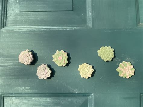 Succulent Magnet Cactus Magnet Plant Magnet Botanical Etsy