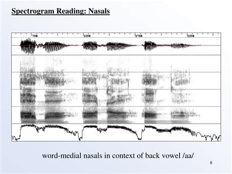 Ppt Cs 551651 Structure Of Spoken Language Spectrogram Reading Ppt Cs 551651 Structure Of Spoken Language Spectrogram Reading