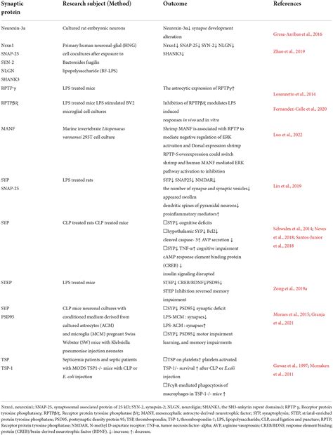 Frontiers The Biological Alterations Of Synapsesynapse Formation In
