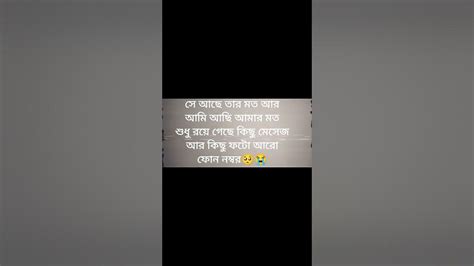 সে আছে তার মত আর আমি আছে আমার মত শুধু রয়ে গেছে কিছু মেসেজ আর কিছু ফটো আর ফোন নাম্বার😭🥺😭 Youtube