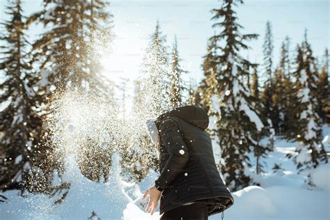 나무 앞에서 눈 속에 서있는 사람 사진 Unsplash의 나무 이미지