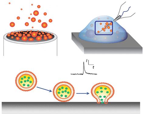 Nanoelectrochemistry